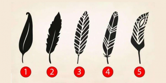 Test de personnalité : la plume que vous choisirez en premier révèlera ...