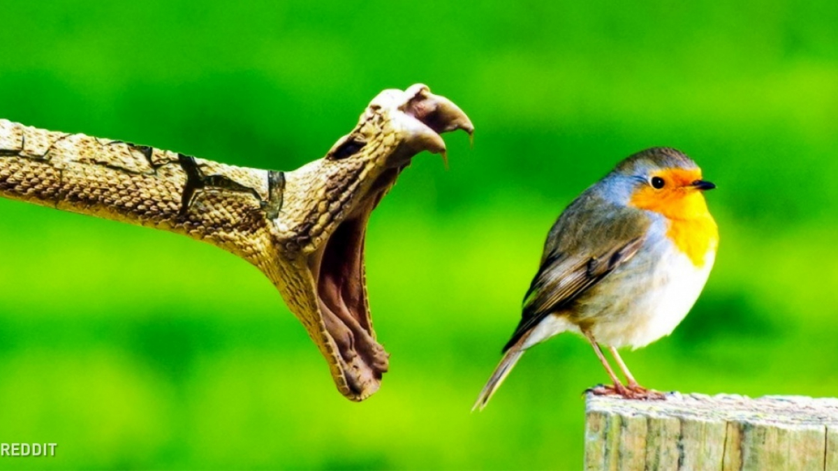 21 photos improbables prises juste avant la catastrophe