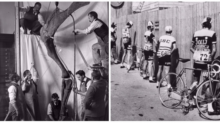 20 photos qui vont bouleverser votre perception des faits historiques