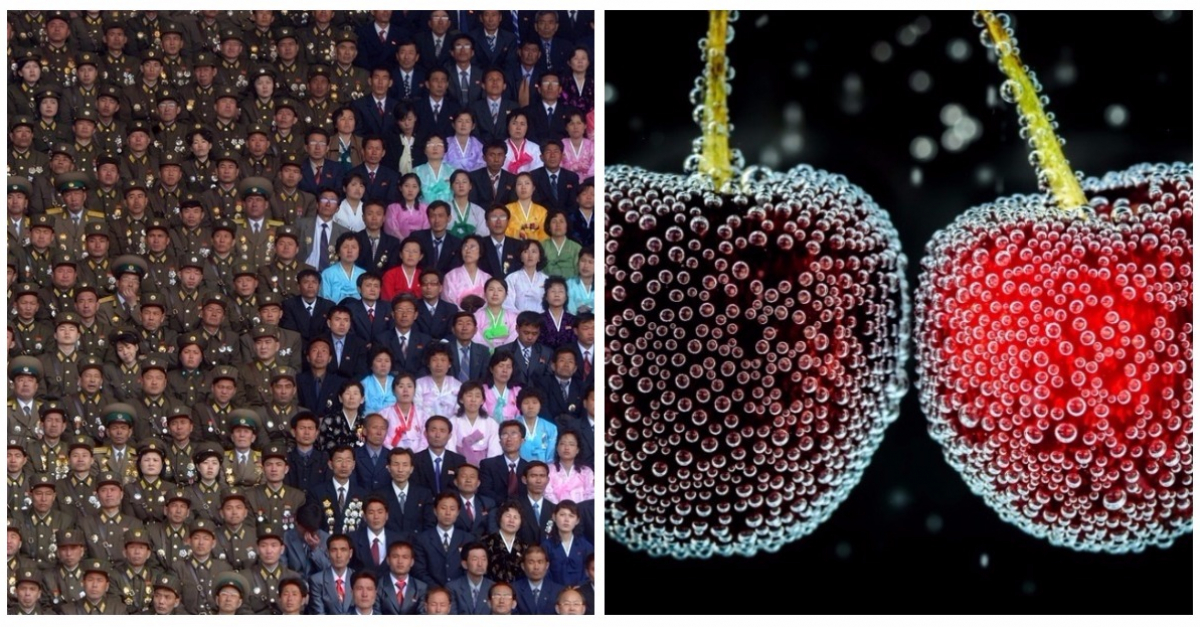 26 photos captivantes qui vous émerveilleront et vous demanderont réflexion