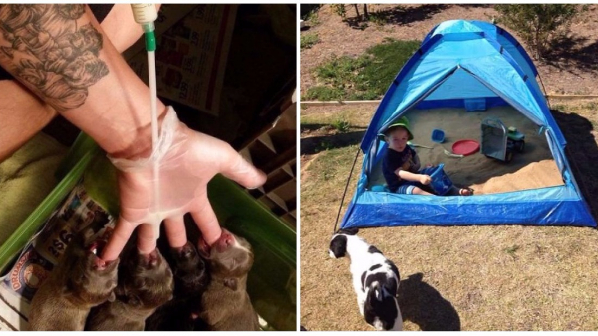 20 as du système D partagent leurs meilleures astuces