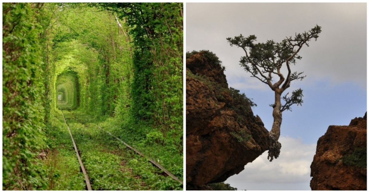 Ces 24 photos qui montrent que la nature reprend toujours le dessus