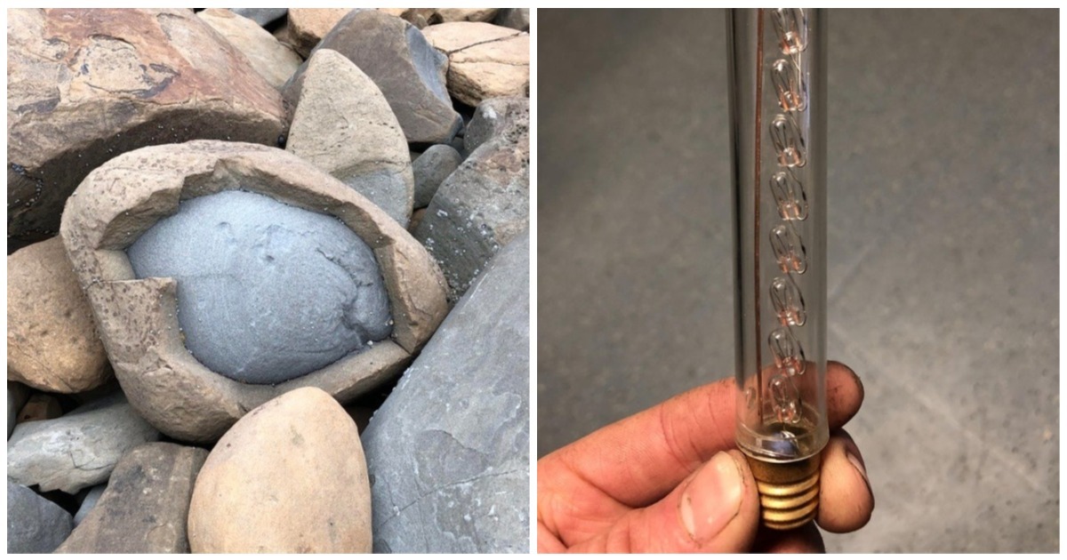 Ces 20 photos qui montrent certaines trouvailles du monde