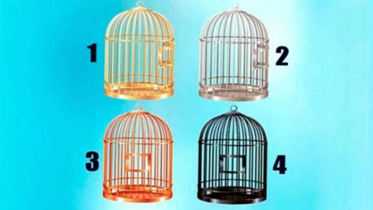 Test de personnalité : choisissez une cage et découvrez vos limites Test de personnalité : choisissez une cage et découvrez vos limites