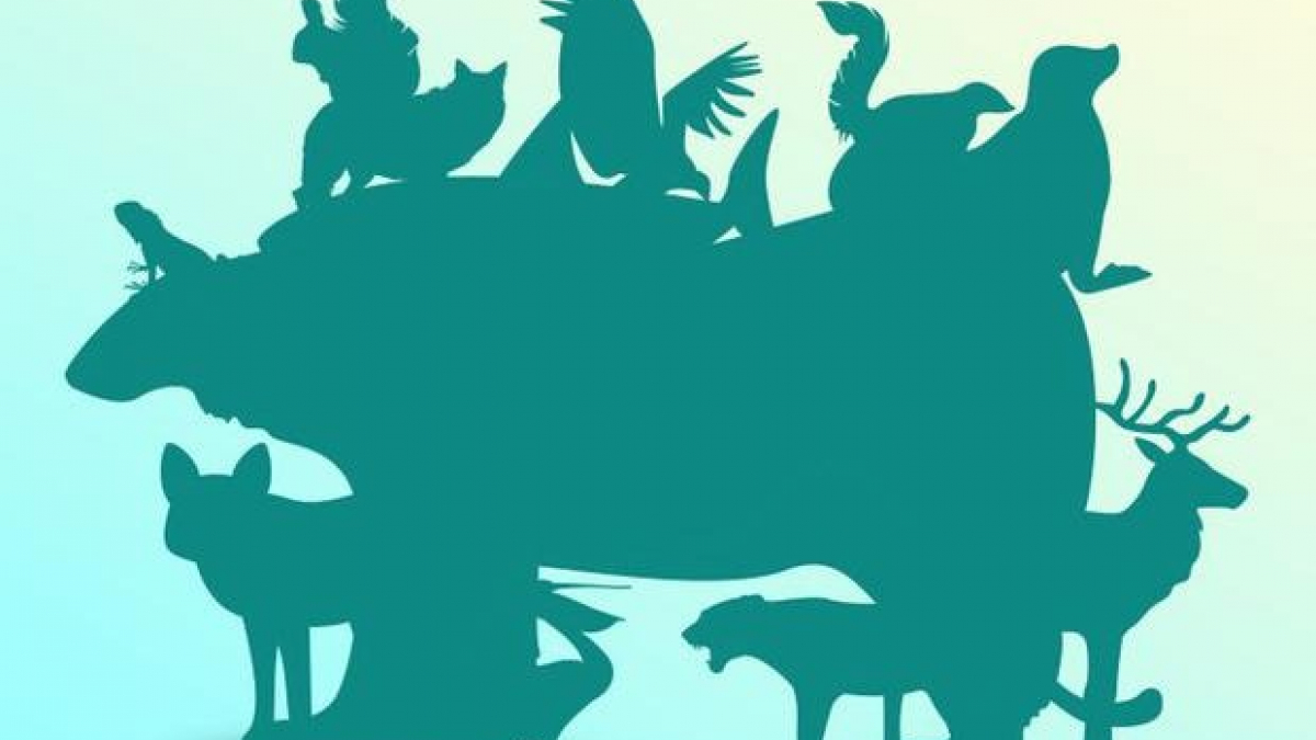 Défi visuel : trouvez le nombre d’animaux cachés dans cette image pour ... Défi visuel : trouvez le nombre d’animaux cachés dans cette image pour ...