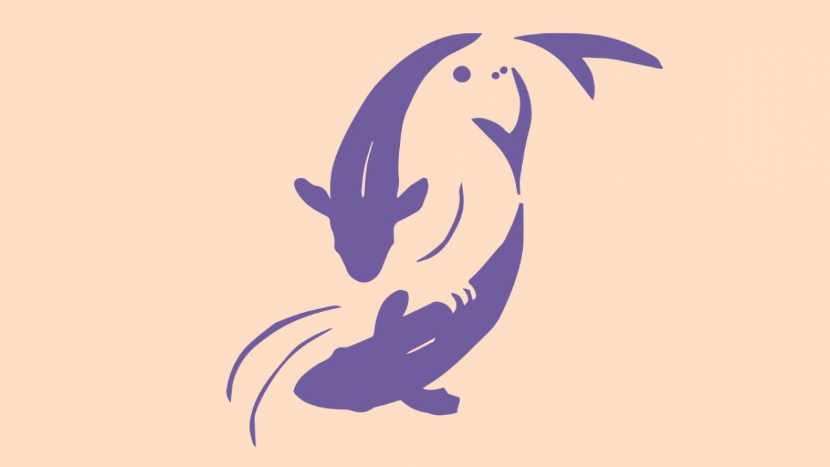 Test de personnalité : l’oiseau ou les poissons ? Votre choix vous ... Test de personnalité : l’oiseau ou les poissons ? Votre choix vous ...