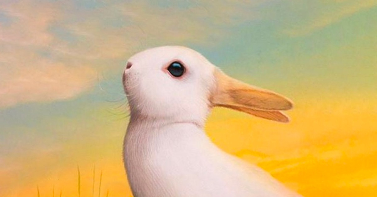 Test de personnalité : votre perception de cette image révèle comment ...