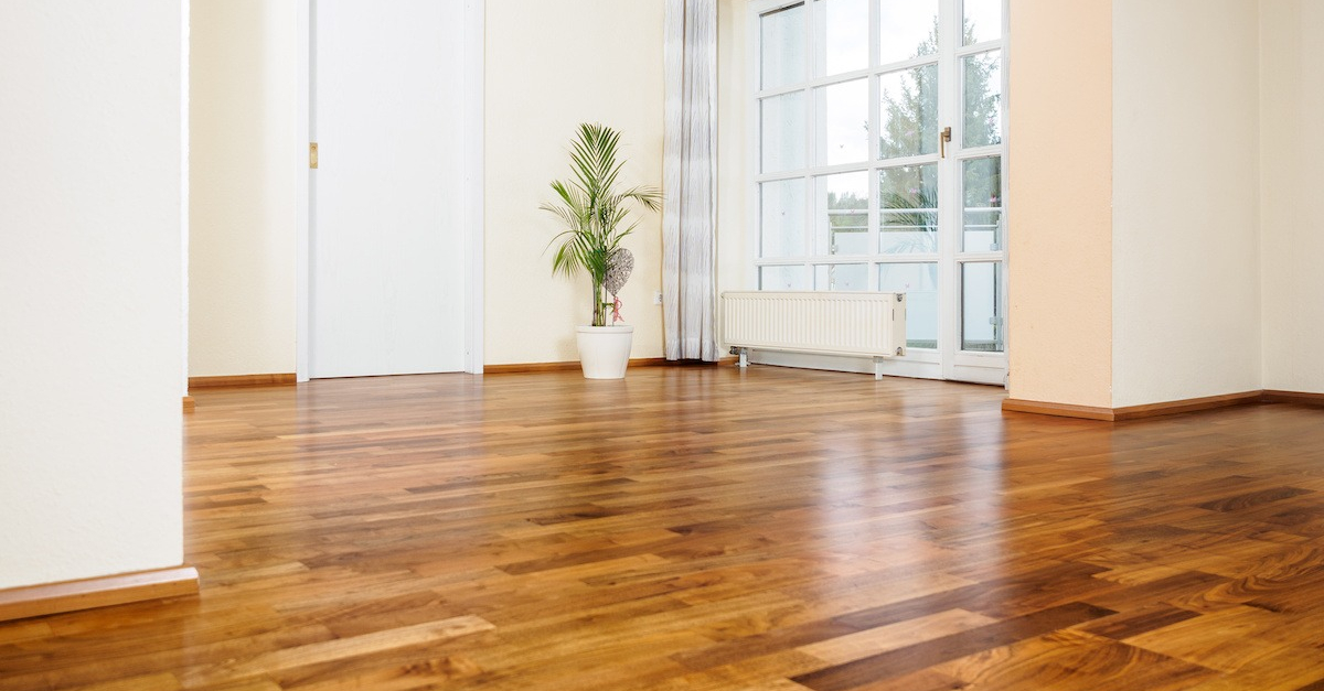 Les risques cachés de la puce de parquet, voici pourquoi il est crucial d'agir rapidement