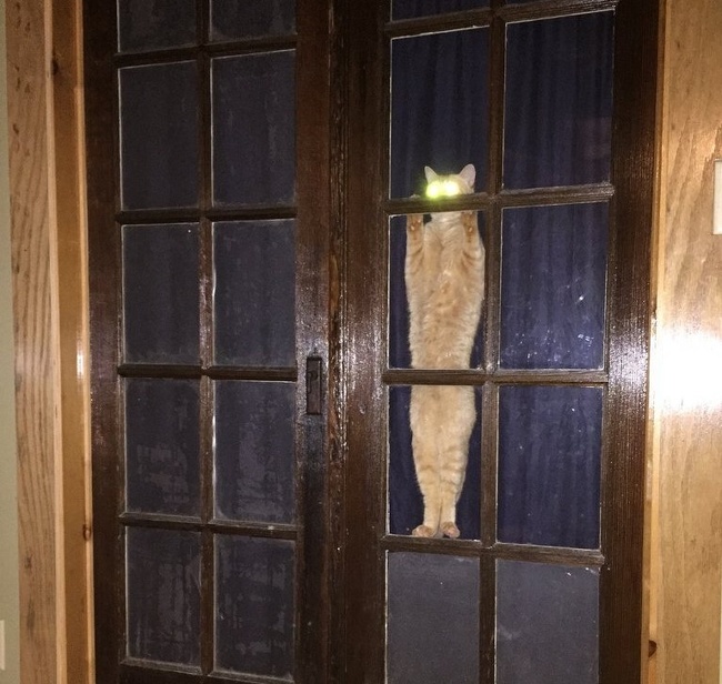 Ces 20 photos donnent la chair de poule